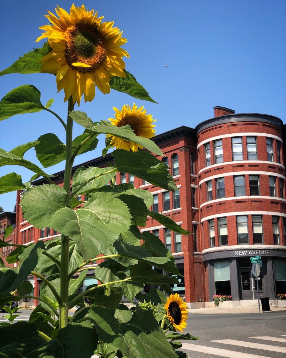 Summit Program – Vermont Walk/Bike Summit 2024